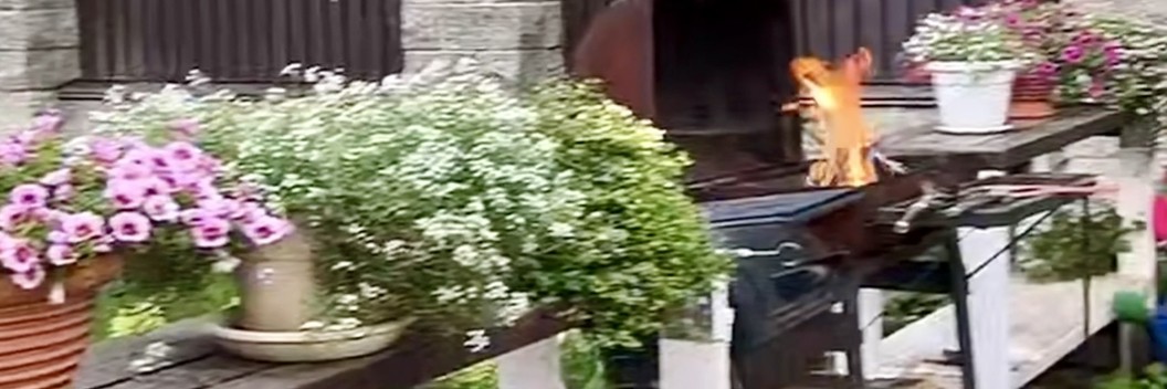 Екатерина Куми