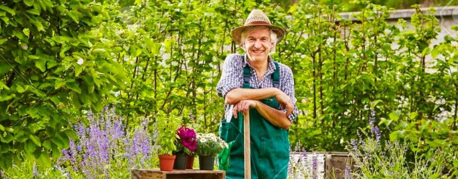 Garden GURU
