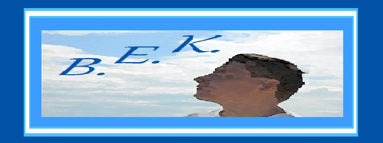 Екатерина Кочкарева (В.Е.К.)