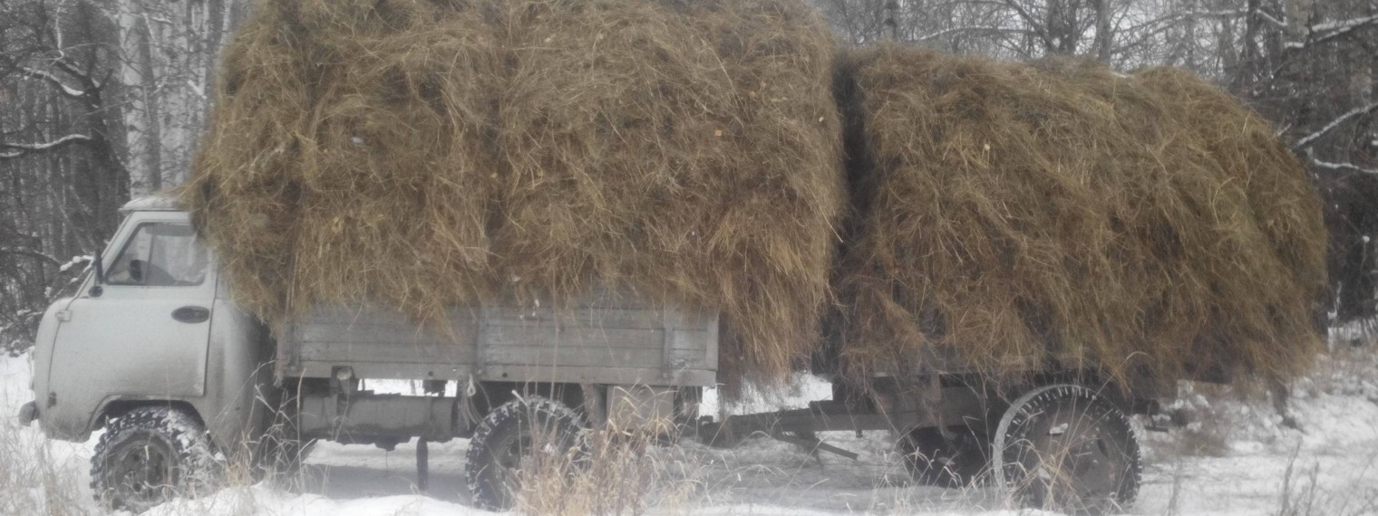 Уральский строитель