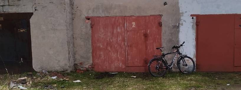 Радио Мастер Кот