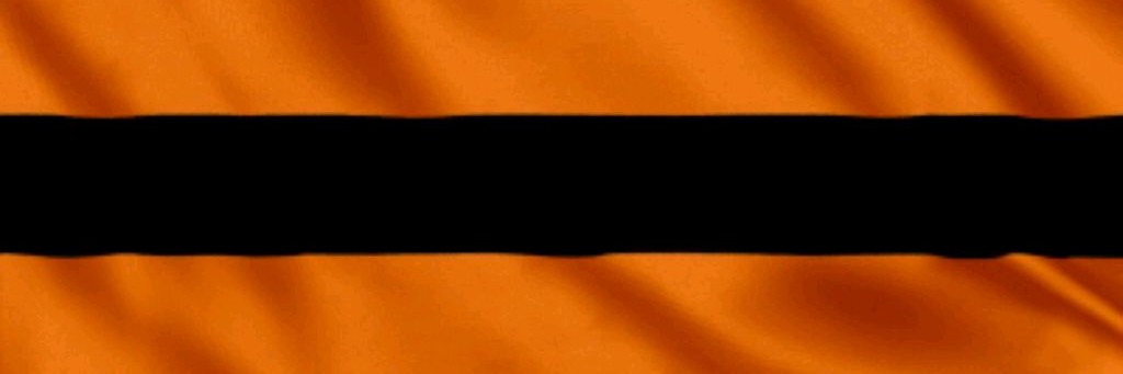 За Отечество НОД СПб Невского и Победы