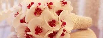 Мама отличника