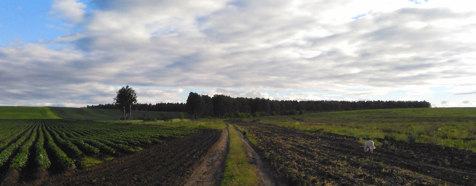 Деревенские геймеры