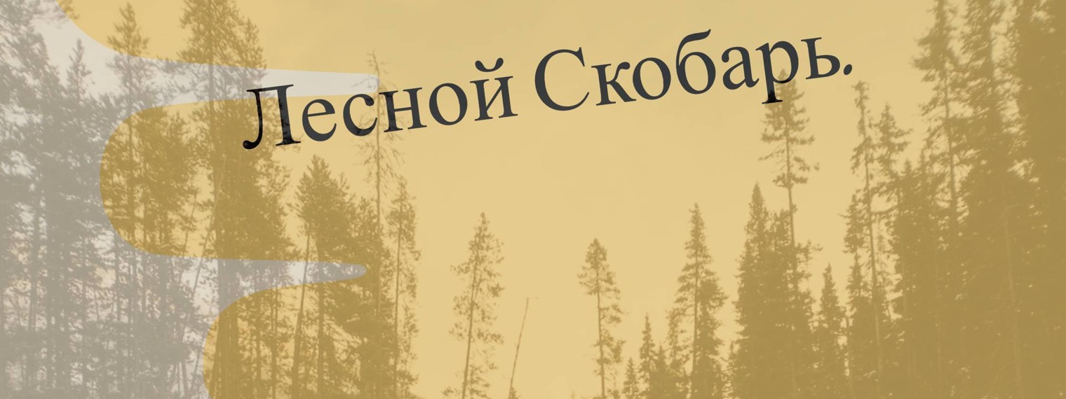 Лесной скобарь