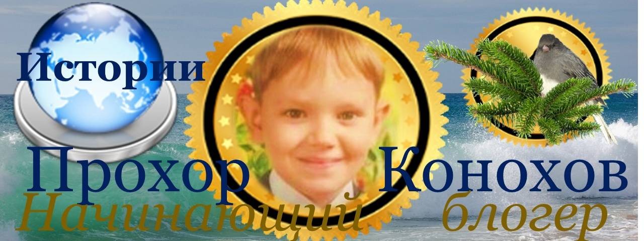 Успешный блогер