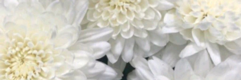 Татьяна канал рецептов