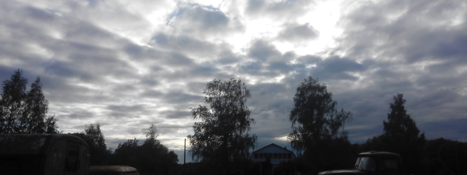 Геннадий К. Читаю юмор..