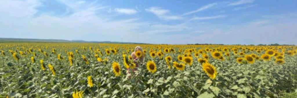 ПЕРЕЕЗД НА ЮГ                      ОЛЬГА и РОМАН