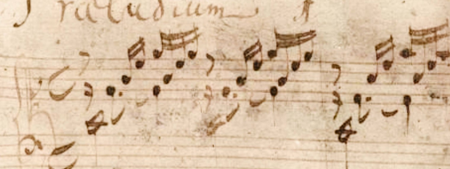 Михаил Аркадьев  Пианистическая кухня