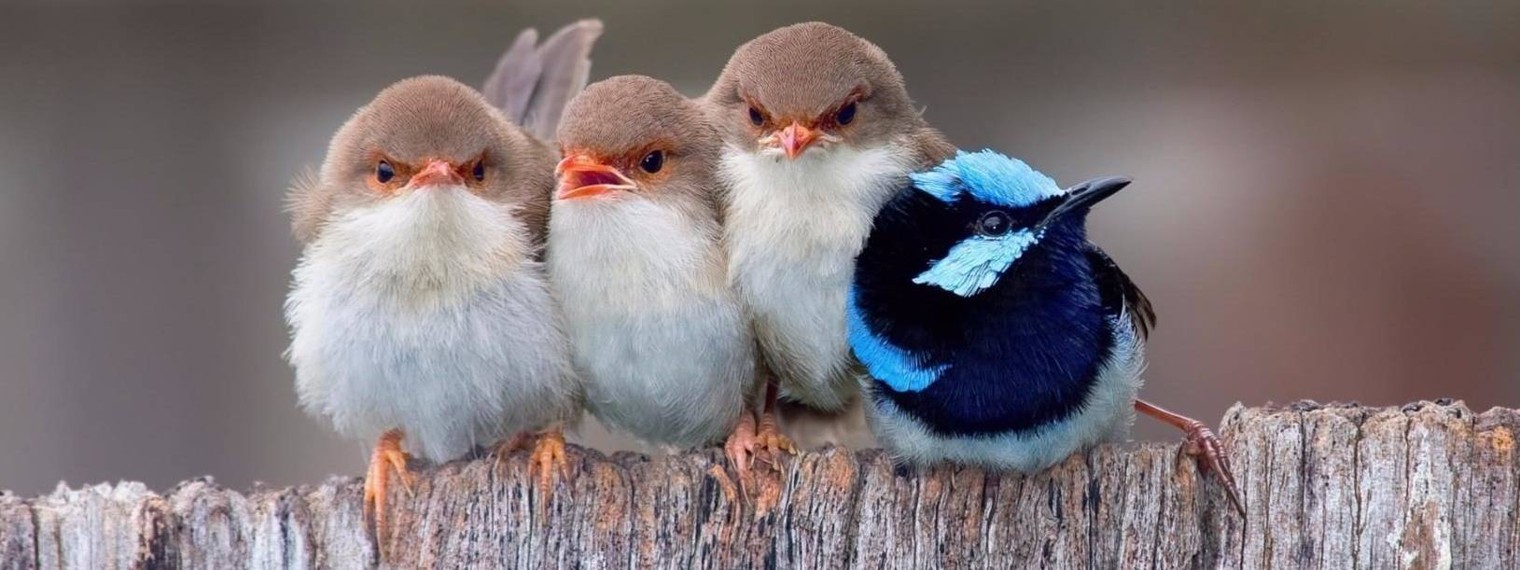 ⚓۞ 𝐈𝐥 𝐅𝐢𝐥 𝐢 𝐌 ۞⚓