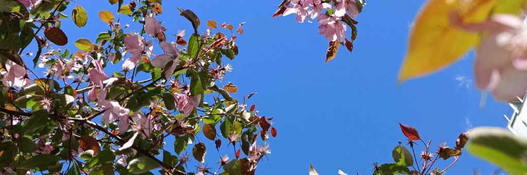 Вязание и рисование с Юлией