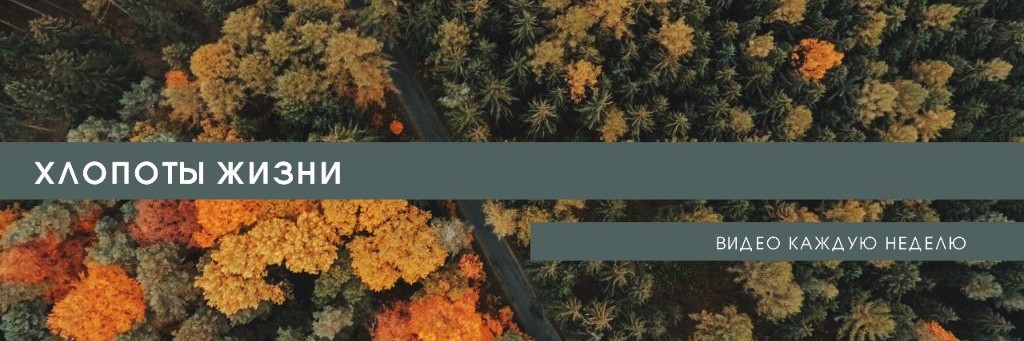 Хлопоты жизни Елены Ткачевой