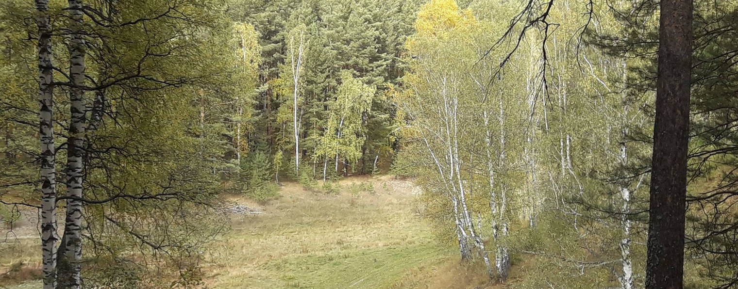 Один из Них.