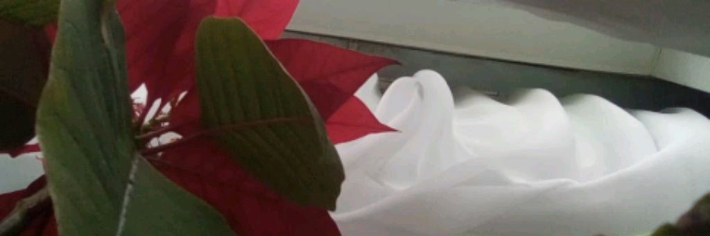 {•Мир бисероплетения•}