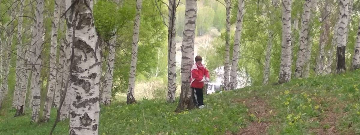 Николас и Рэмбрат