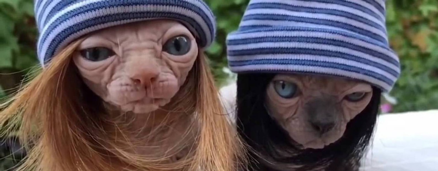 Юмор. розыгрыши. приколы, .смех, для всех!