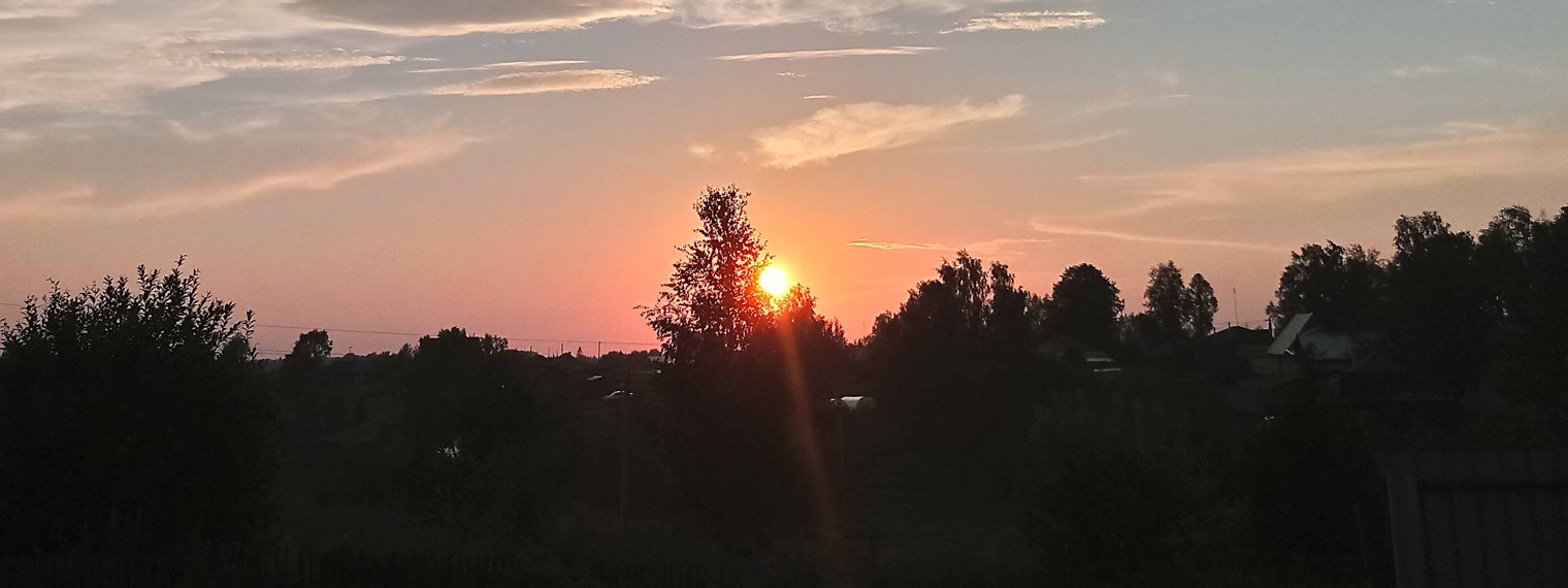 Светлана Кошкарева