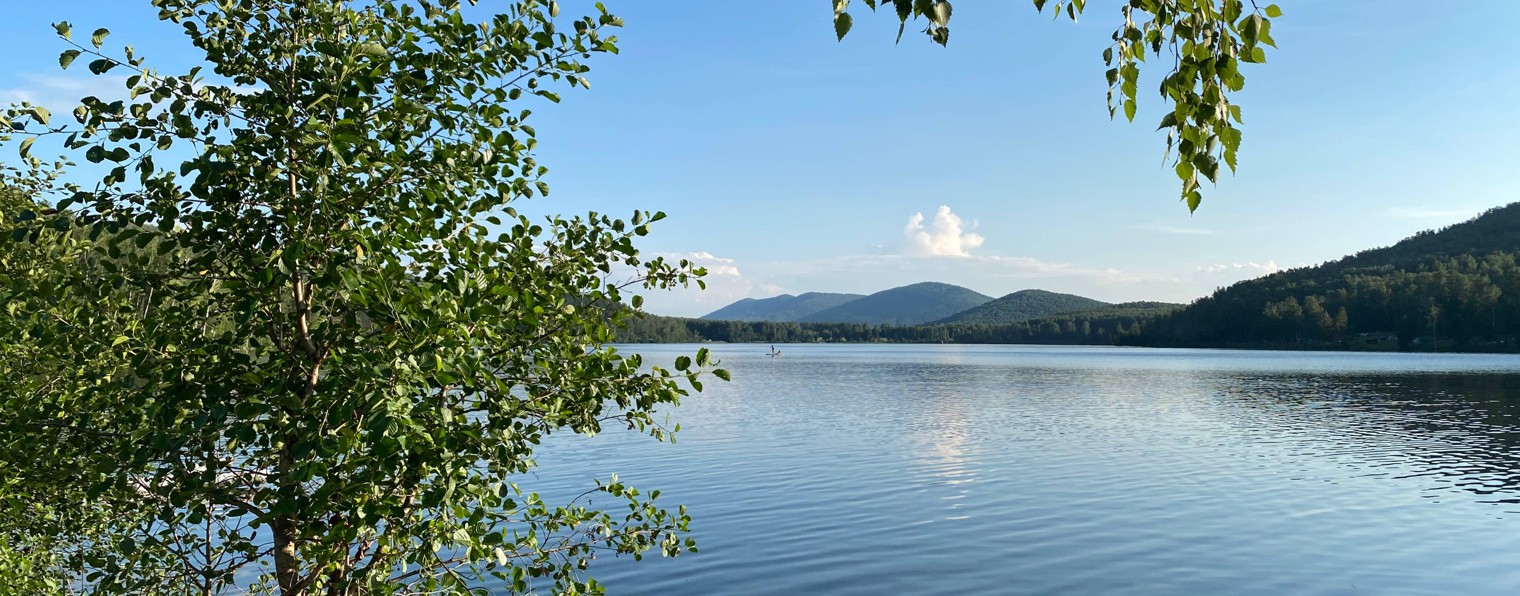 Карина Фель