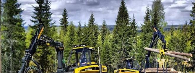 Лесное Дело