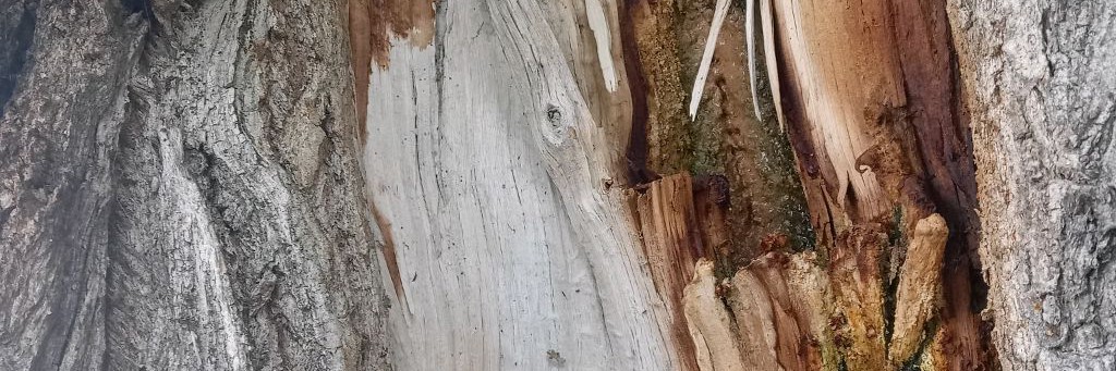 Всё о прекрасной жизни!