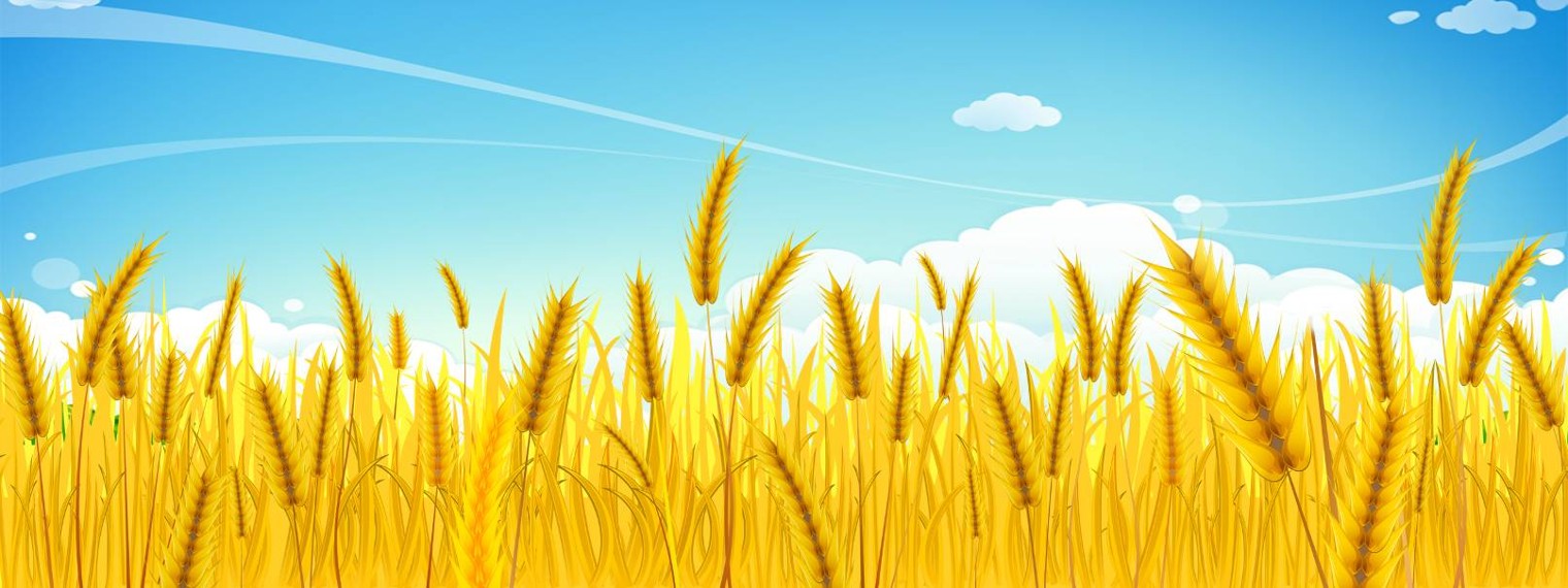 Россельхознадзор Брянск, Смоленск, Калуга