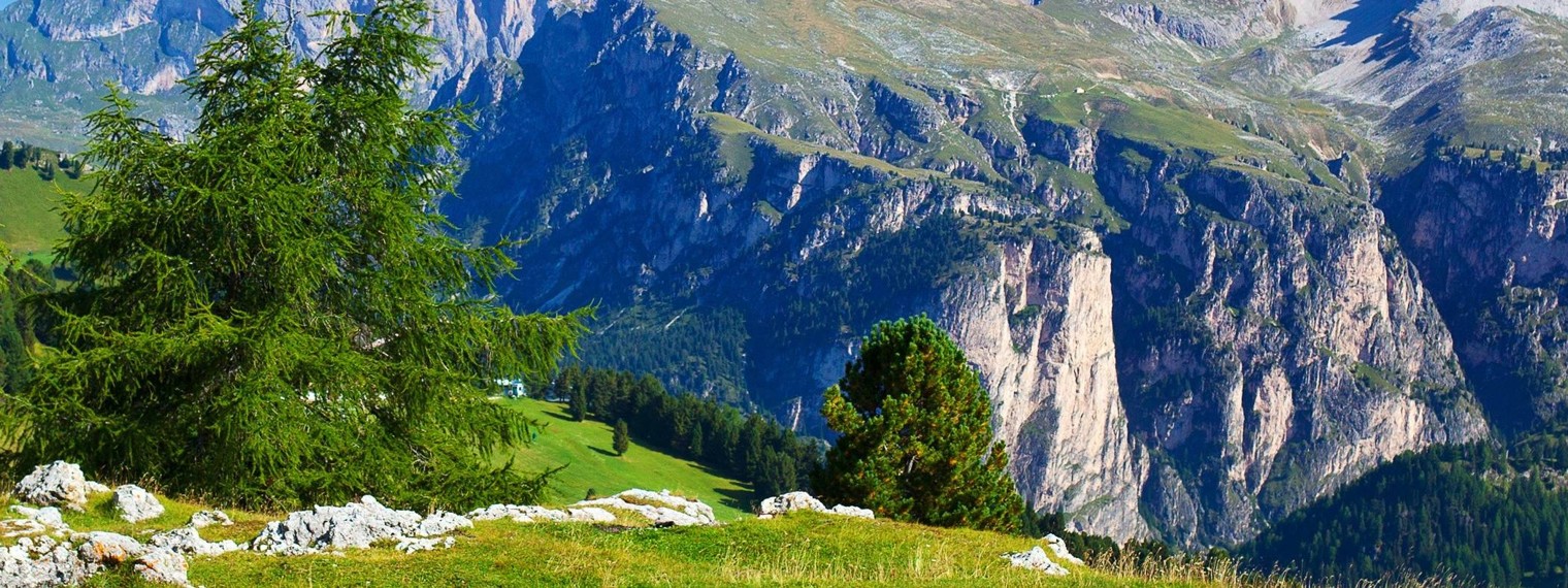 Про животных и не только!!!