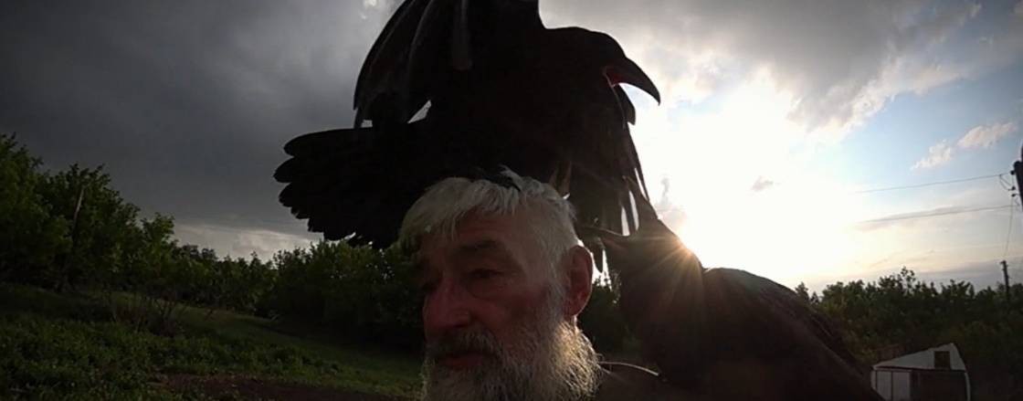 КИНОлогические СКАЗКИ.