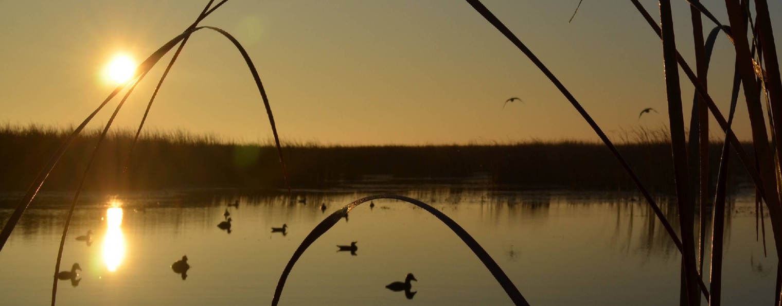 В дни не покоя