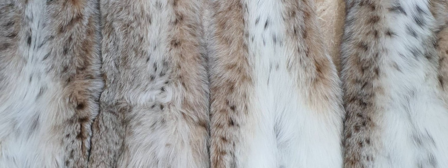 Каталог ARKTUR-22.ru