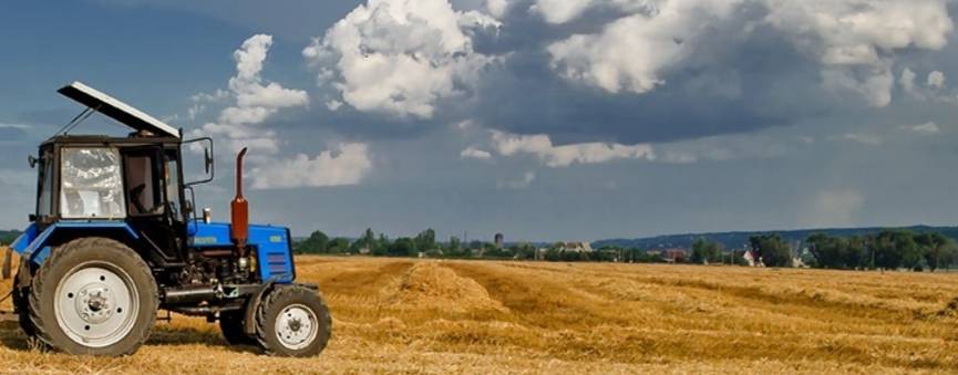 мульти фермер