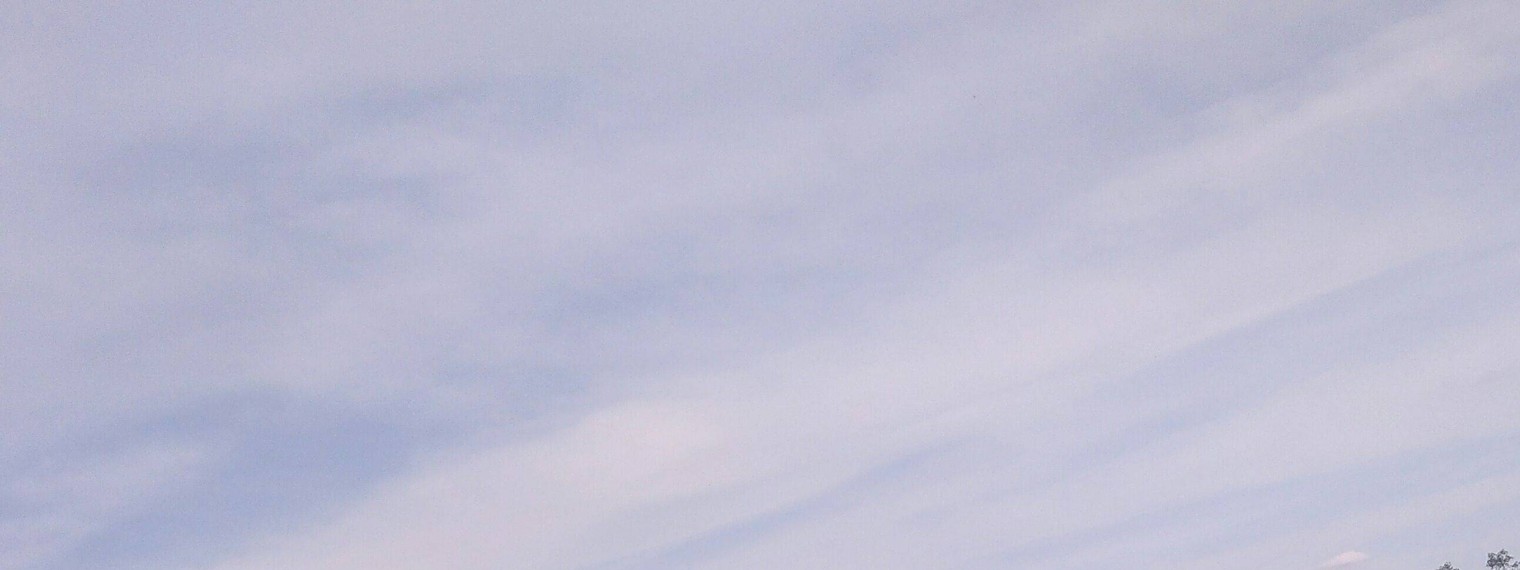 МИР ЖИВОТНЫХ