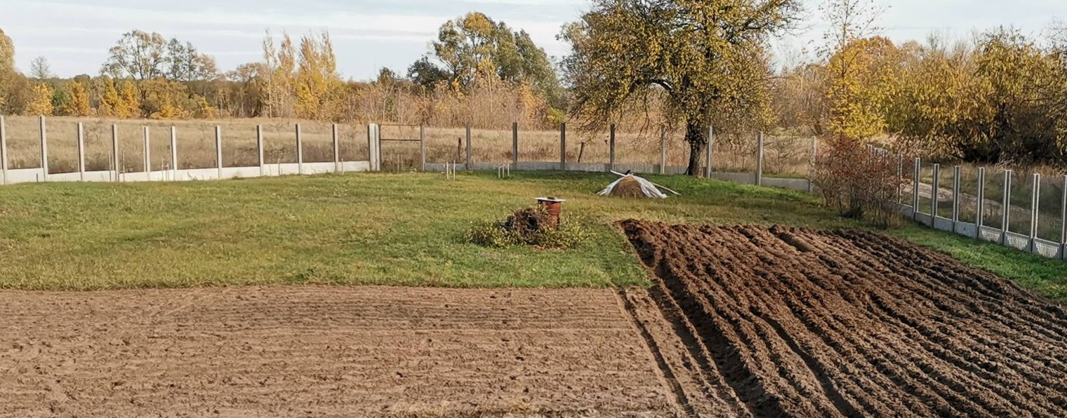 Домик на околице.