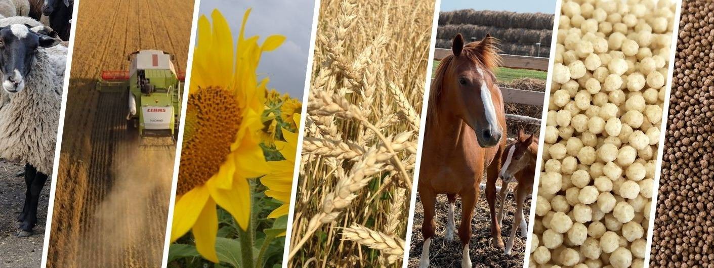 АгроТрансПорт