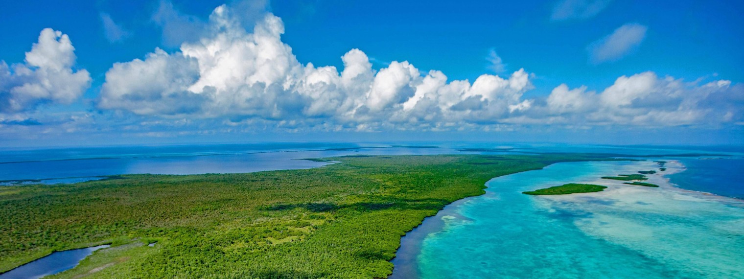 Вадим Уваров