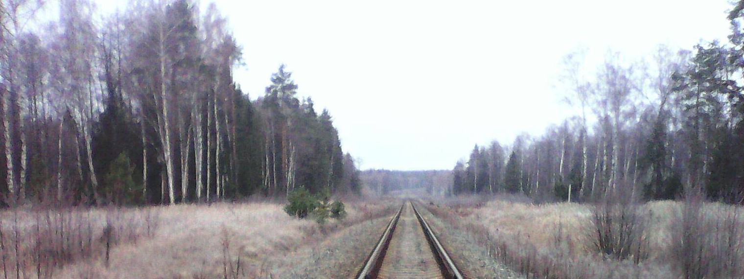 Дом  Dazhgod  New History