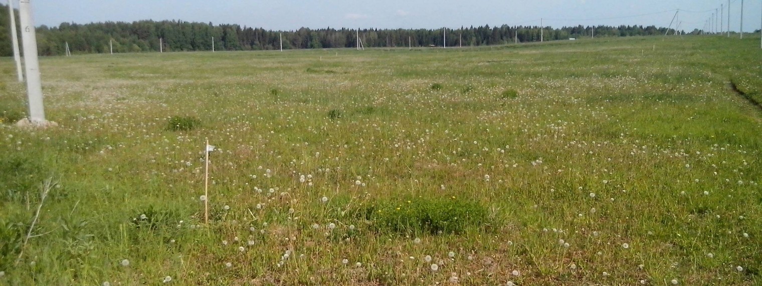 Семейная хроника. ИСТОРИЯ.