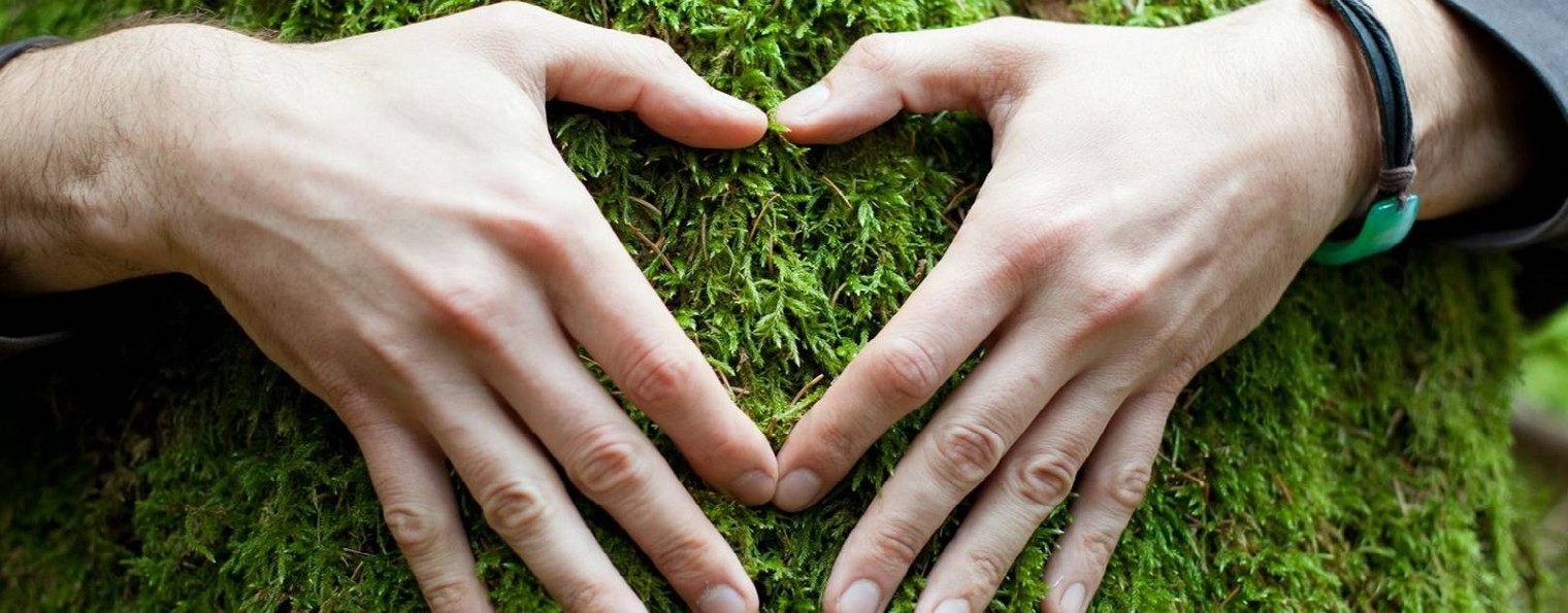 Фабрика Матрасов ТЭФФИ