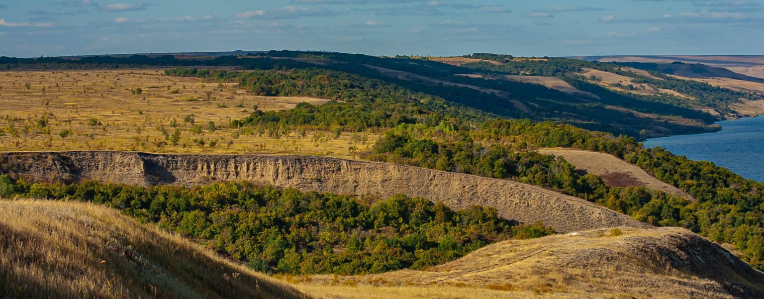 Терпеливо о Разном