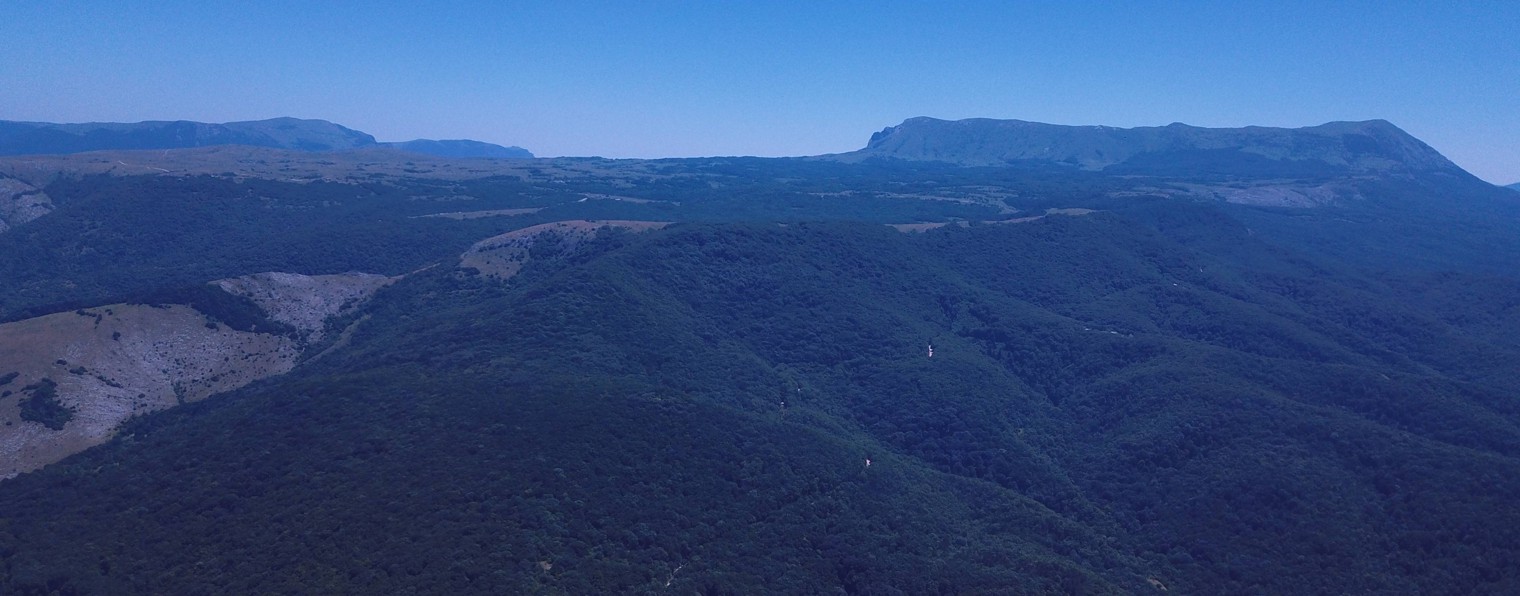 СПЕЦ.КРЫМ.НЕДВИЖКА