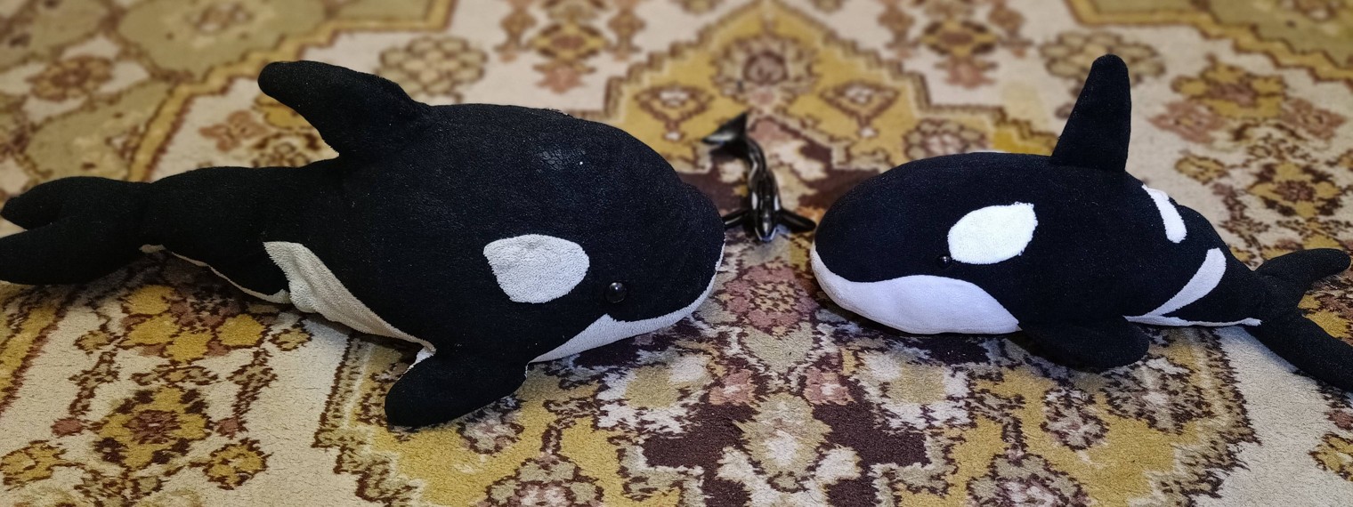 Плюшевая косатка