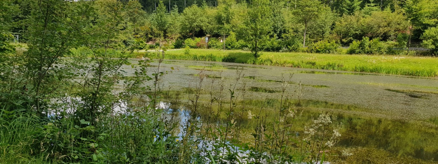 иван ортнер