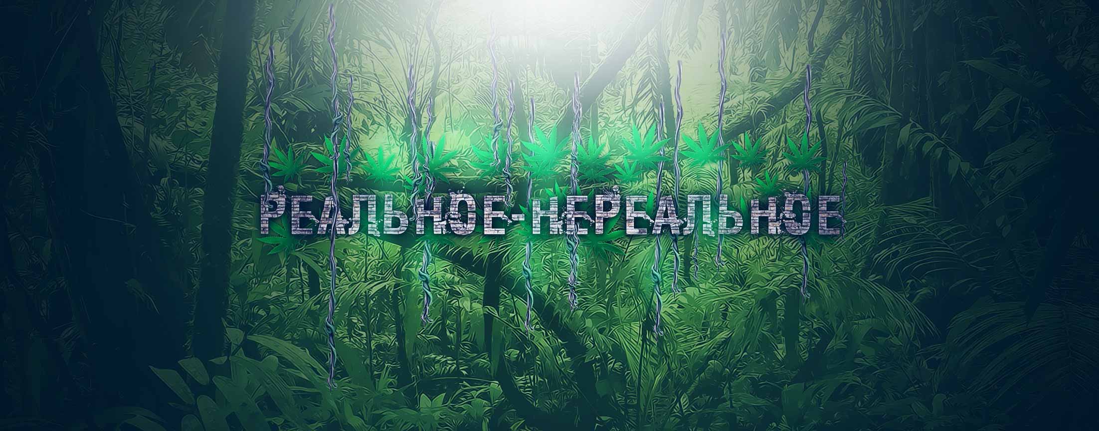 РЕАЛЬНОЕ-НЕРЕАЛЬНОЕ