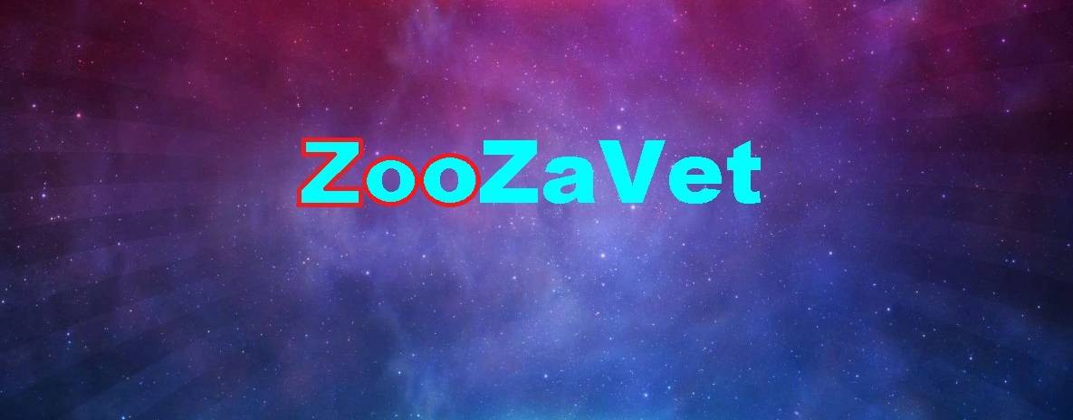 ZooZaVet