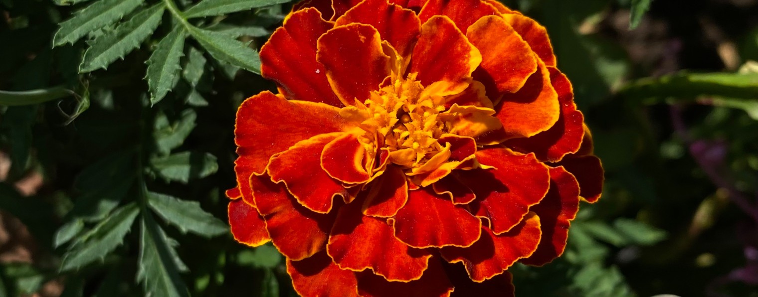 Жизнь в ТактСудьбы