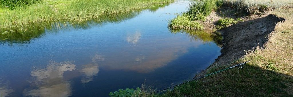 Нашь Арбуз 🍉