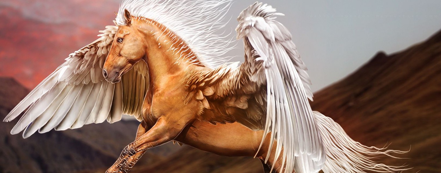 На крыльях Пегаса