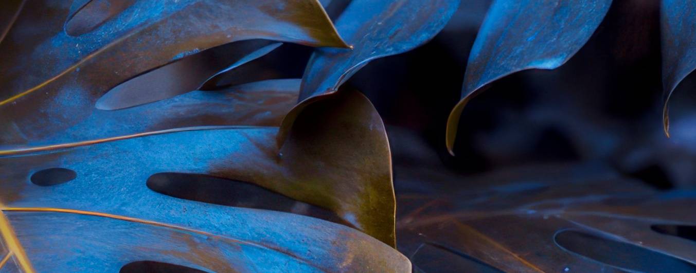 Дима Бардин