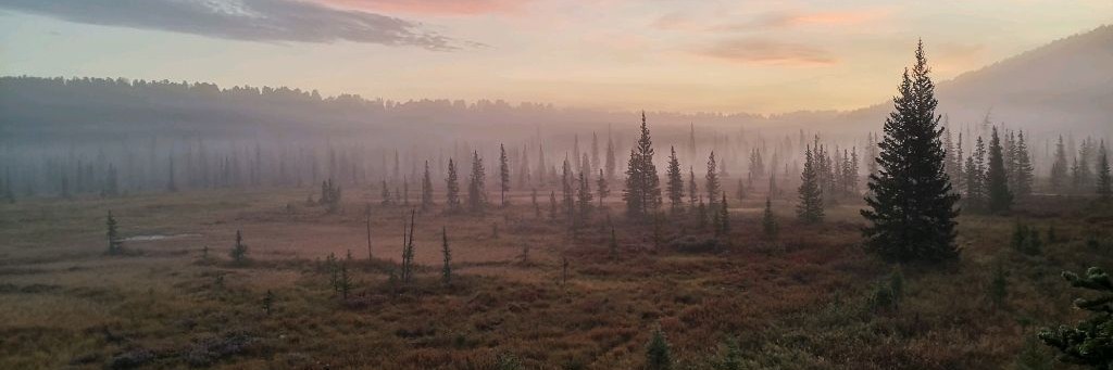 Таёжными тропами