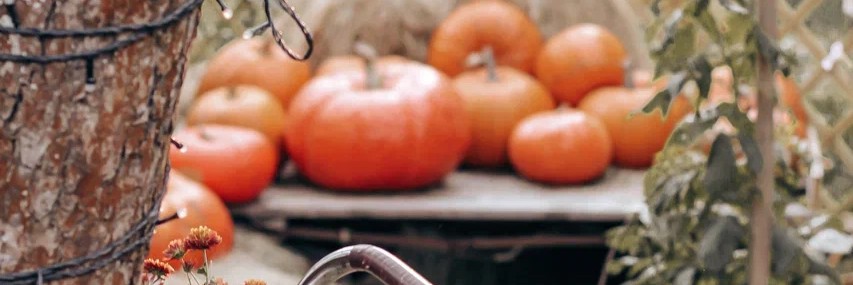 Аня и Настя